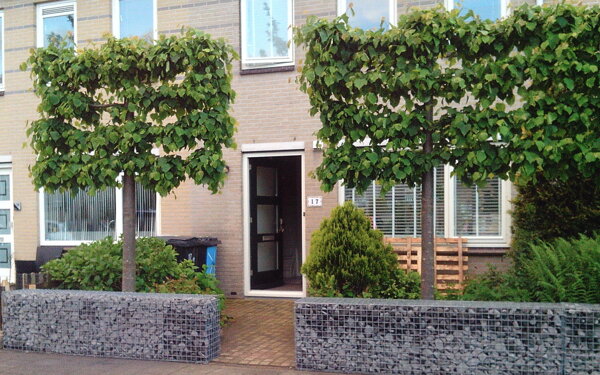 Voortuin afscheiding ideeën met schanskorven
